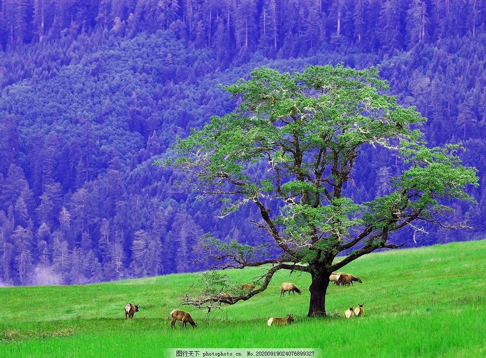 大自然风景图片_其他_自然风景-图行天下素材网